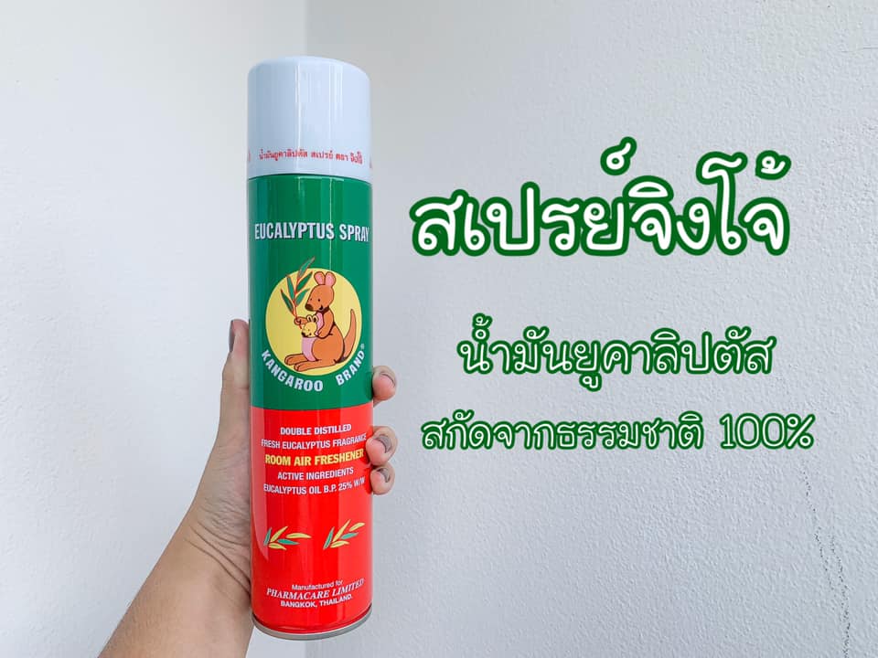 Kangaroo Eucalyptus Spray จิงโจ้ ยูคาลิปตัส สเปรย์ 300 ml. | Lazada.co.th