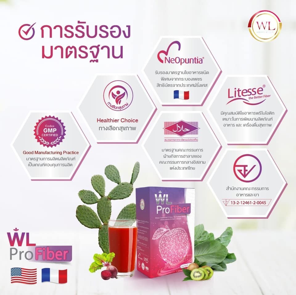 WL ProFiber Detox ดับเบิ้ลยูแอลโปรไฟเบอ ร์ดีท็อกซ์ ดีท็อก ดีท็อกสำไส้ ดีท็อกซ์ลดพุง ไฟเบอร์ ...