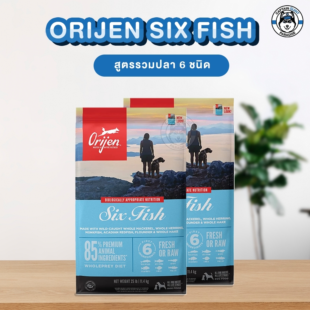 อาหารสุนัข Orijen Six Fish โอริเจน สูตร ปลา 6 ชนิด | Lazada.co.th