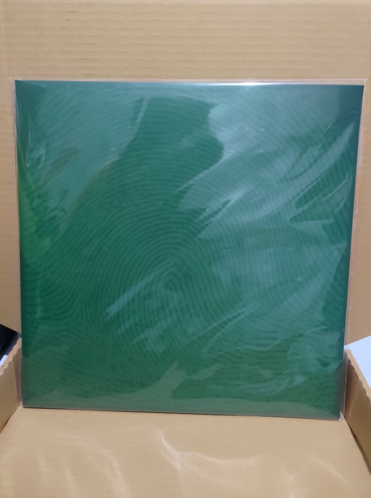 แผ่นเสียง 92914 - Sunset and Home LP | Lazada.co.th