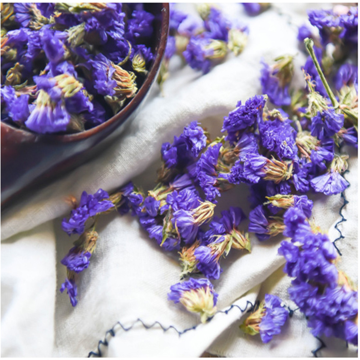 Forget-me-not Flowers Pure Nature Forget-me-not Dry Flowers, Camellias ...