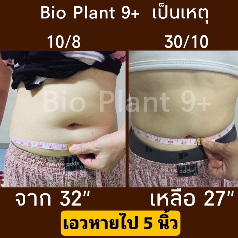 พร้อมส่งฟรี โปรตีนพืช 9 ชนิด มากที่สุดในท้องตลาด Bio Plant 9 - Khame - ThaiPick