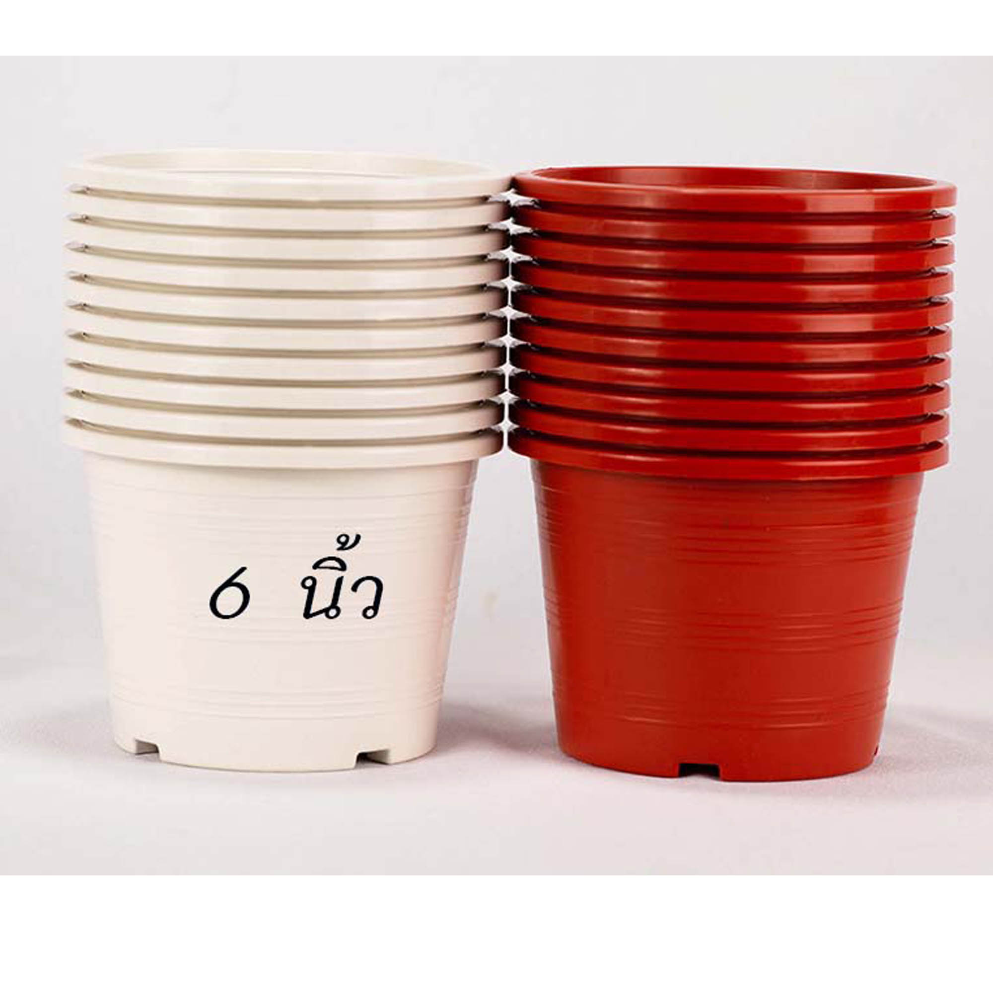 ขายถูกมาก ส่งไว กระถางพลาสติก ขนาด 6นิ้ว ชุด 20ใบ ฟรี 2 ใบ คละสี