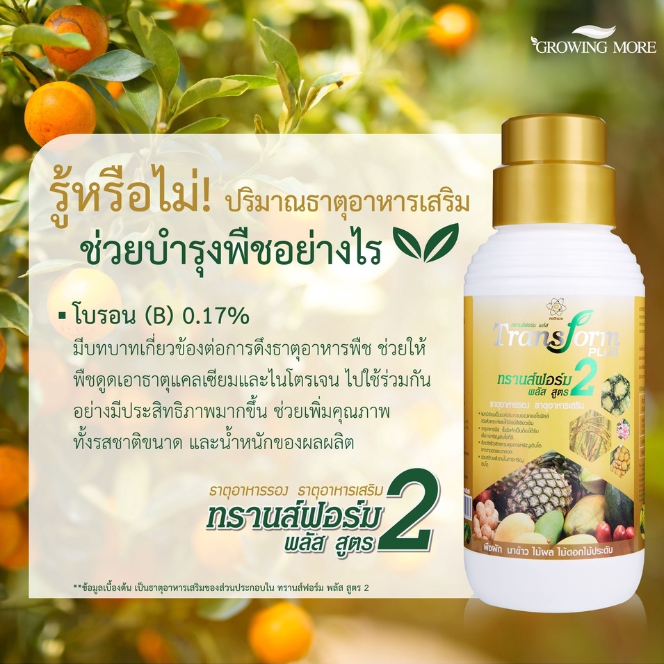 TRANSFORM PLUS 2 ธาตุอาหารรองและธาตุอาหารเสริมพืช ประกอบด้วยธาตุอาหารหลายชนิดที่มีประโยชน์ต่อพืช ...