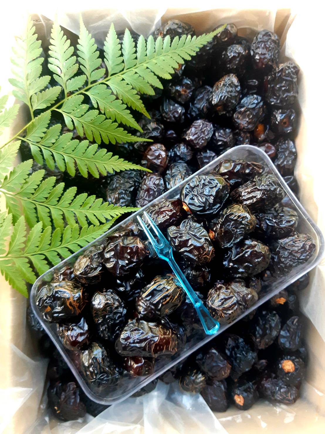 อินทผลัมสายพันธ์ุ อัจวะห์ ขนาด 500 กรัม อินทผลัมที่ดีที่สุดจากเมืองมะดี ...