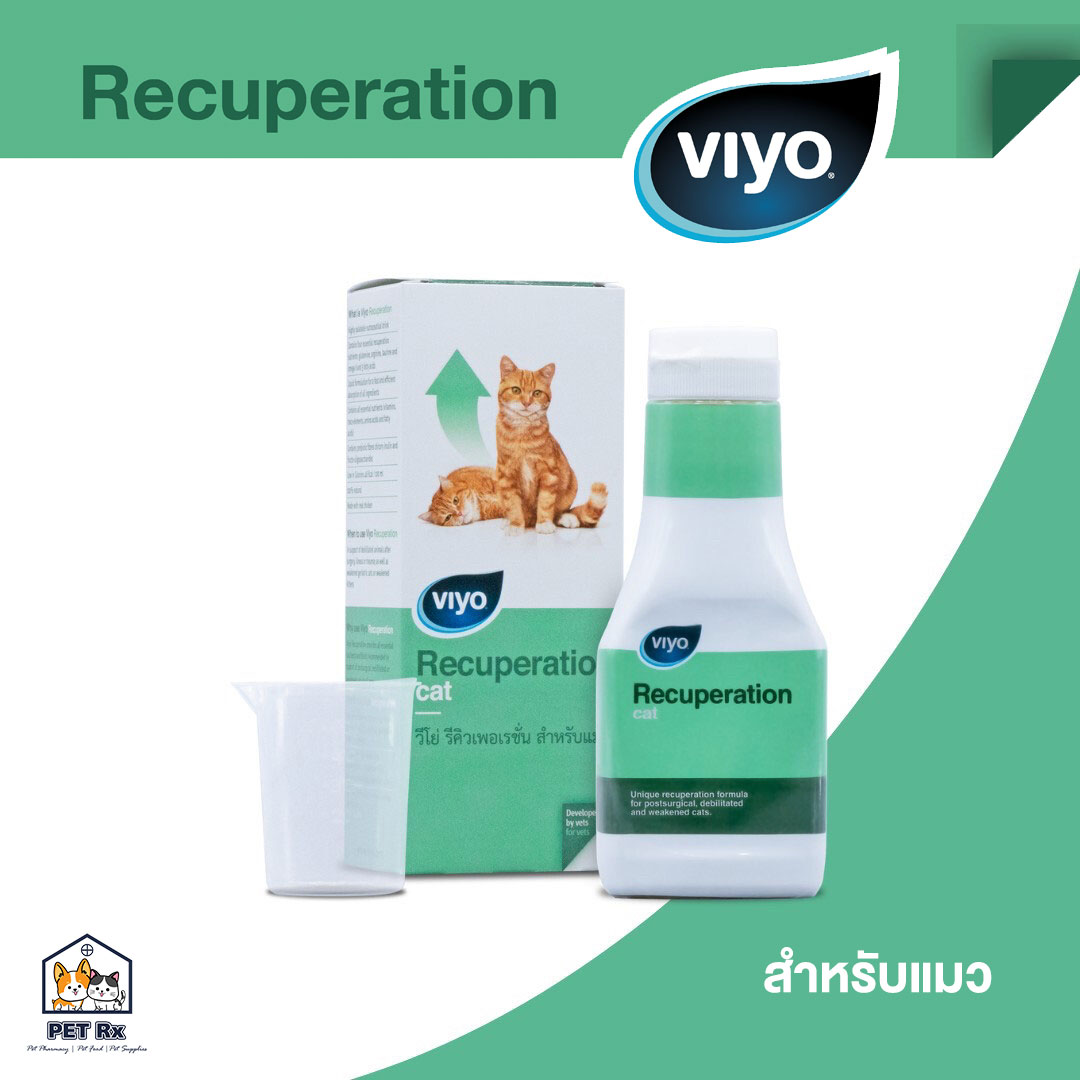 Viyo Recuperation [แท้💯] สารเสริมฟื้นฟูสัตว์ป่วย ชนิดน้ำ สำหรับสุนัขและ ...
