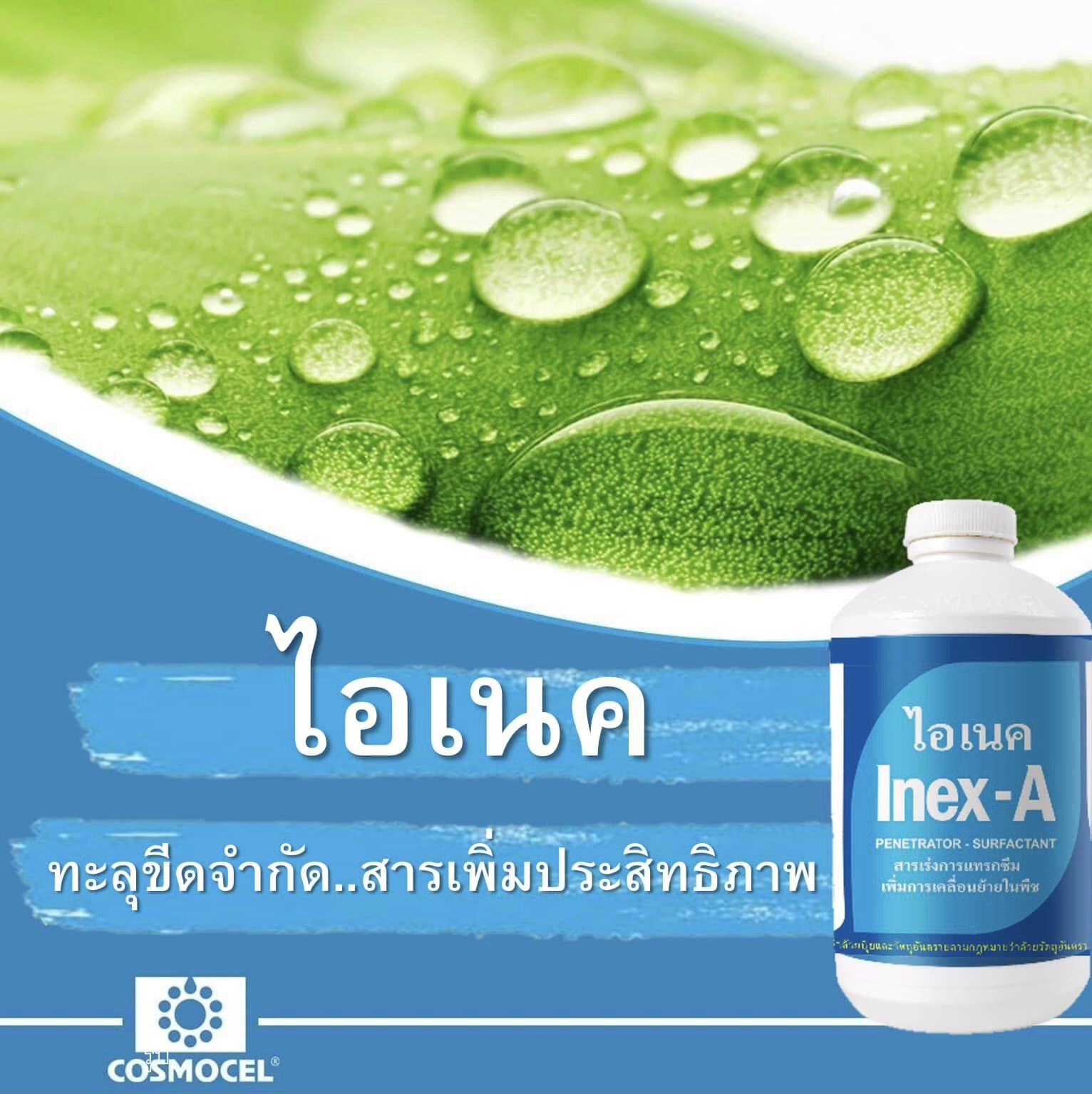 Inex-A ไอเนค สารเพิ่มประสิทธิภาพ สารเร่งการแทรกซึม เพิ่มการเคลื่อนย้าย ...