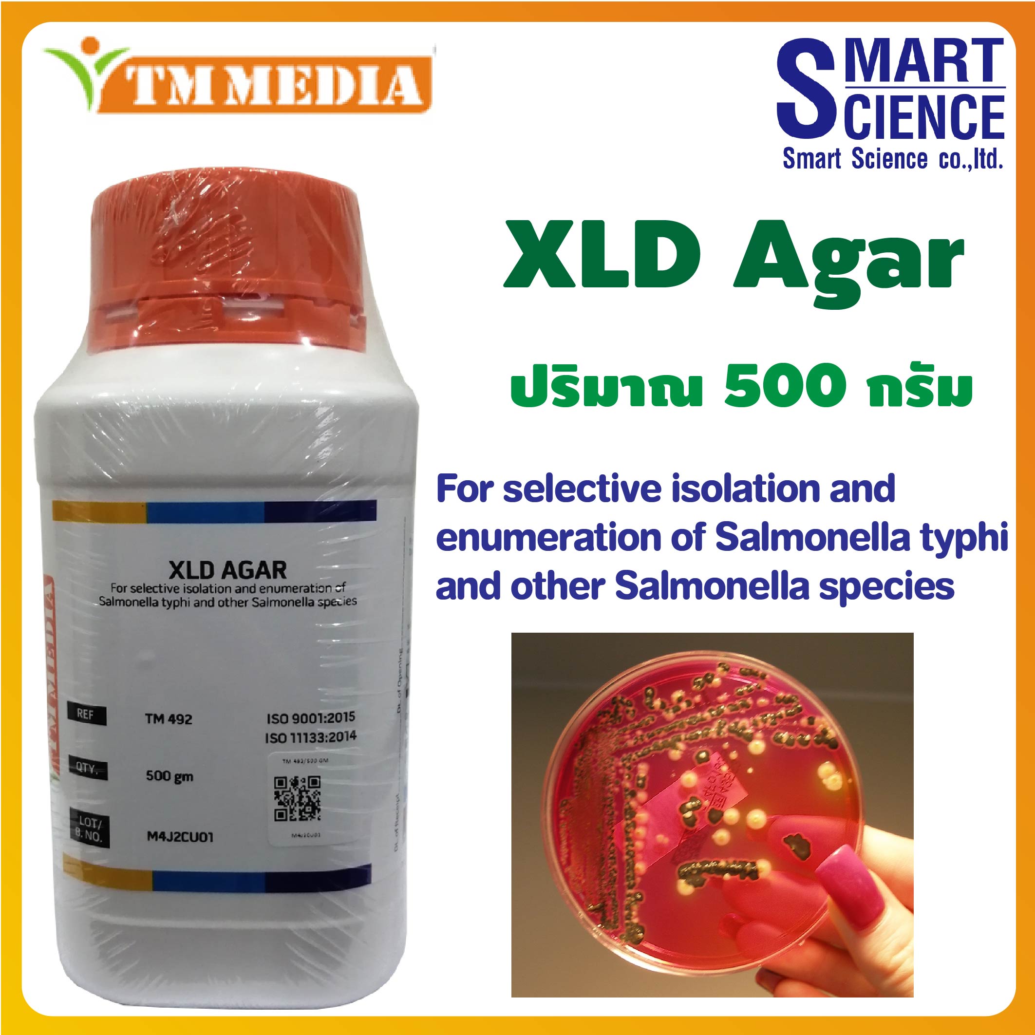 TM MEDIA® XLD Agar Salmonella typhi ใช้เตรียมอาหารเลี้ยงเชื้อ สำหรับ ...
