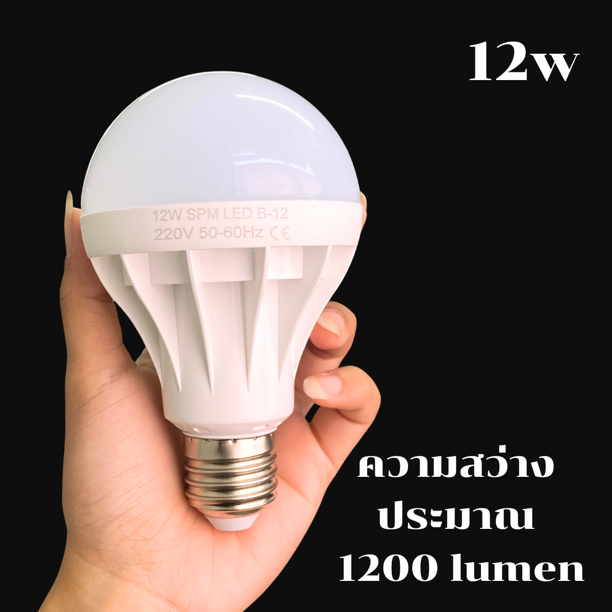 หลอดไฟ LED แบบกลม 5W , 12W หลอดไฟแอลอีดี หลอดไฟแอลอีดีแบบกลม หลอดไฟ ...