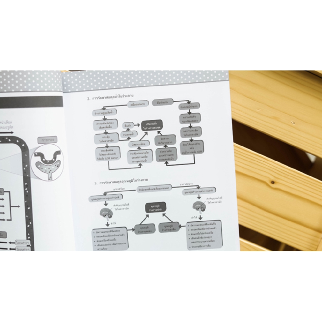 Think Beyond(ธิ้งค์ บียอนด์) หนังสือ ตะลุยโจทย์ O-NET วิทยาศาสตร์ ม.6 ...