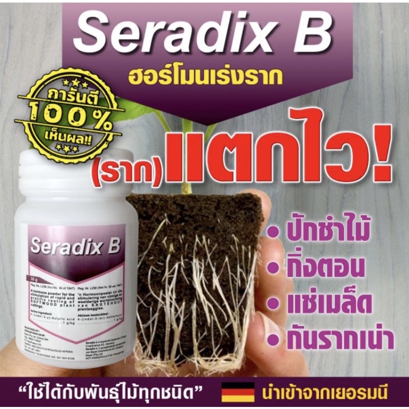ฮอร์โมนเร่งราก Seradix B เซราดิกซ์ บี แท้100% | Lazada.co.th