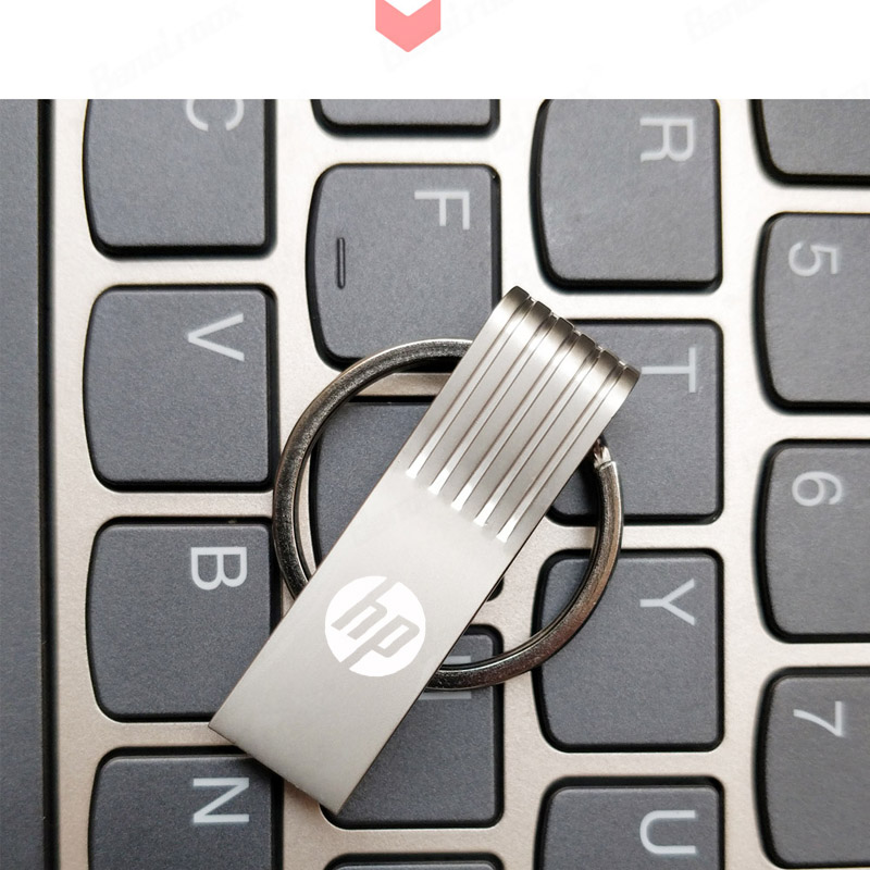 HP USB Memory Stick Pen Drive 2.0 256GB 512GB U Disk with Keychain U ...