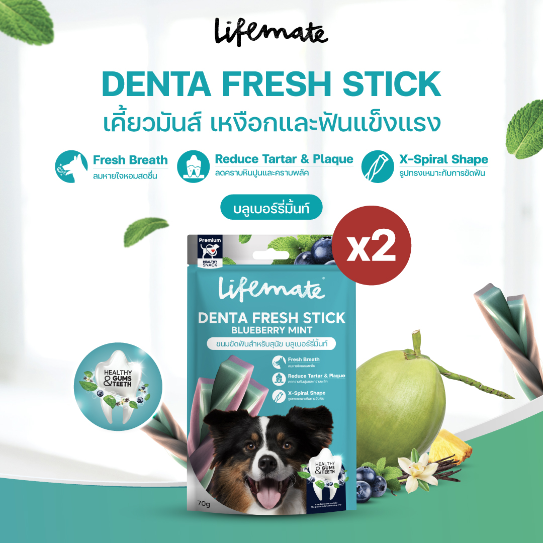 Denta Fresh Stick ขนมขัดฟันและเหงือกสุนัข 2 ซอง | Lazada.co.th