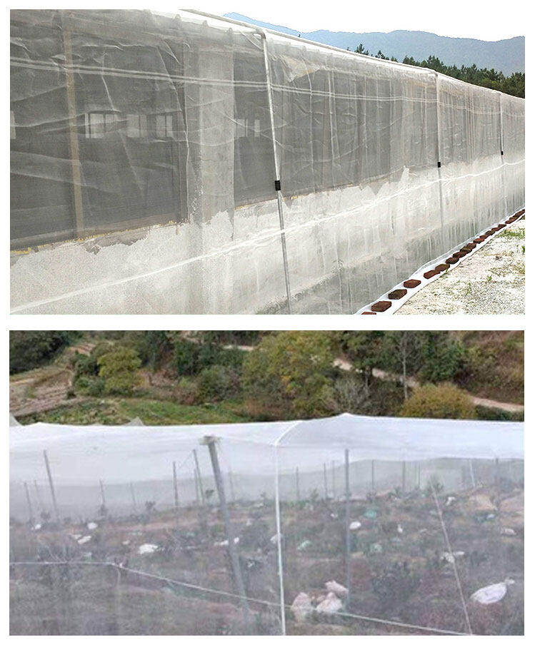 White mosquito net white mosquito net insect net greenhouse netting ...