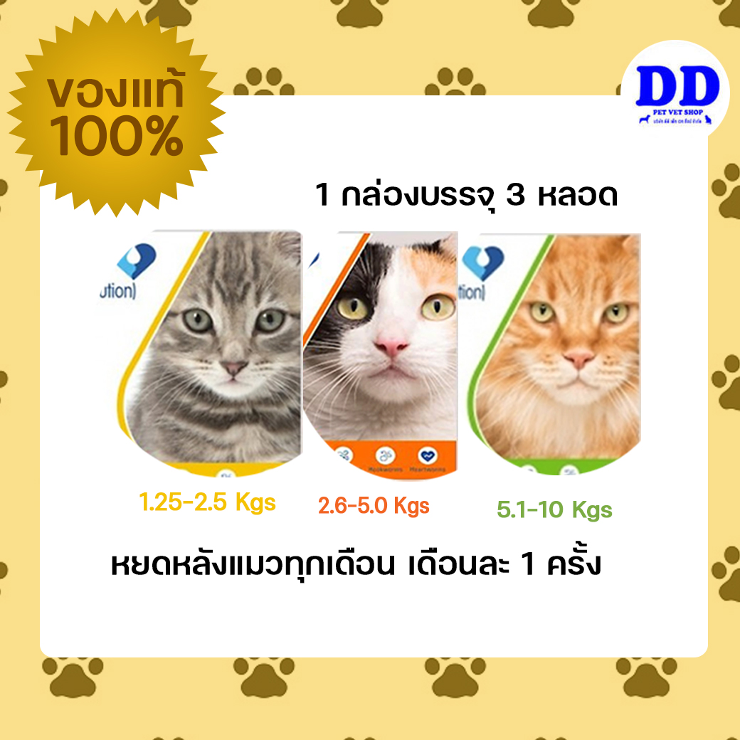 Revolution Plus Cat แมว แบบหยด 1 กล่อง3 หลอด - DDPETVETSHOP - ThaiPick