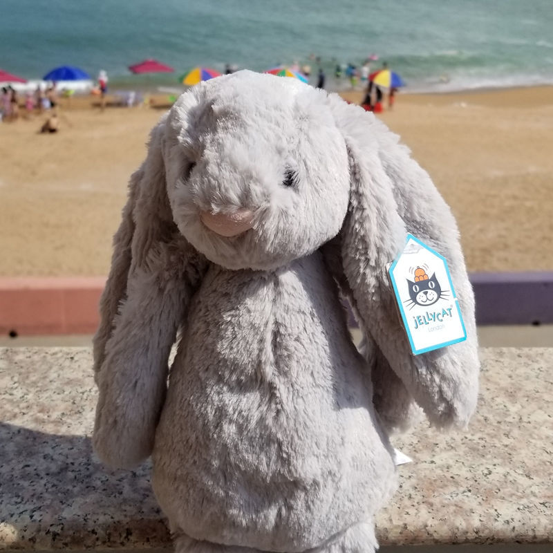 ของแท้ Bonnie Rabbit JELLYCAT นำเข้า 31 ซม. ตุ๊กตาของเล่นวันเกิดของขวัญ ...