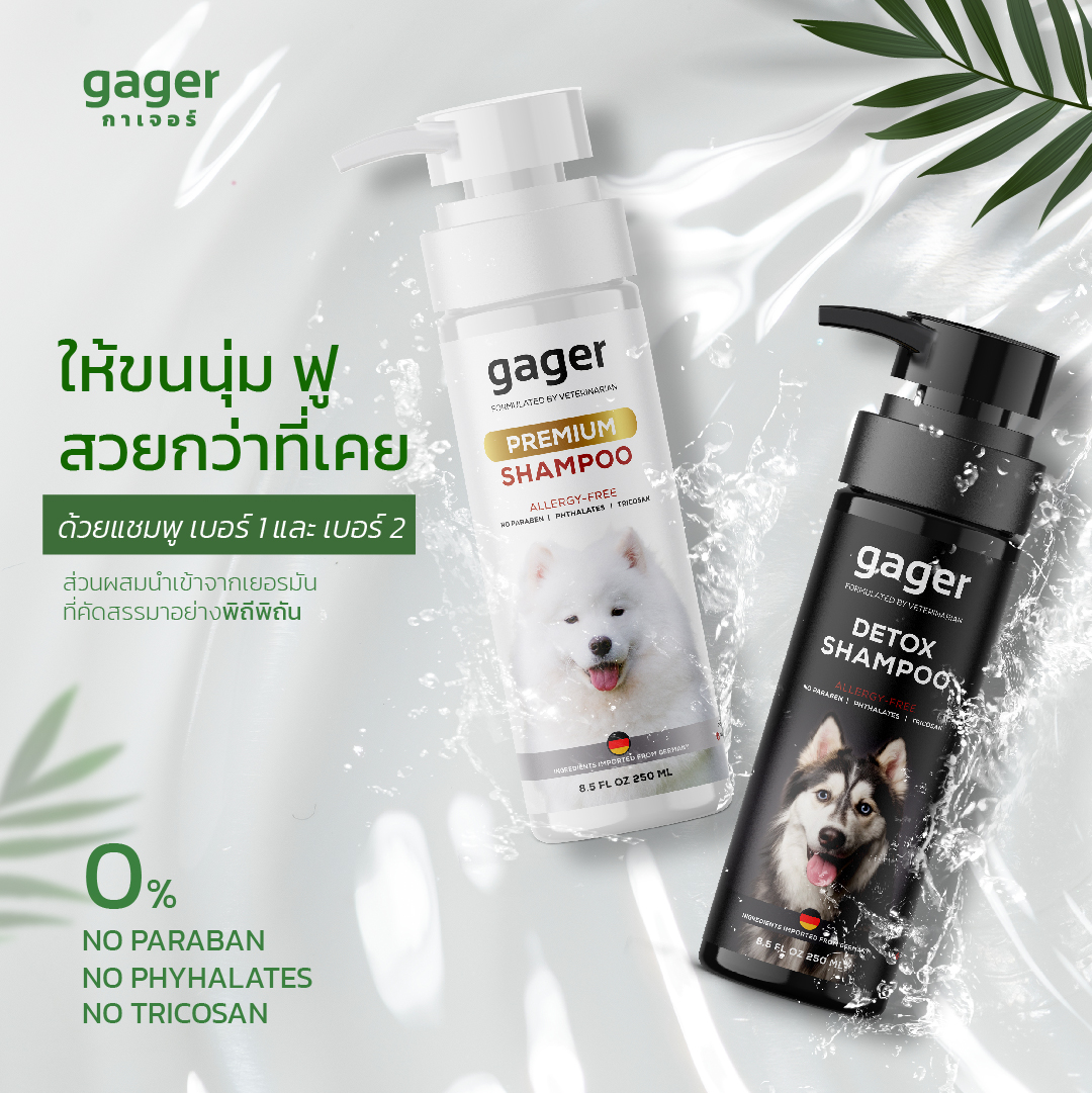 Gager แชมพูอาบน้ำสุนัข ลดขนร่วงและอาการคัน อ่อนโยน สูตรDetox สกัดจาก ...