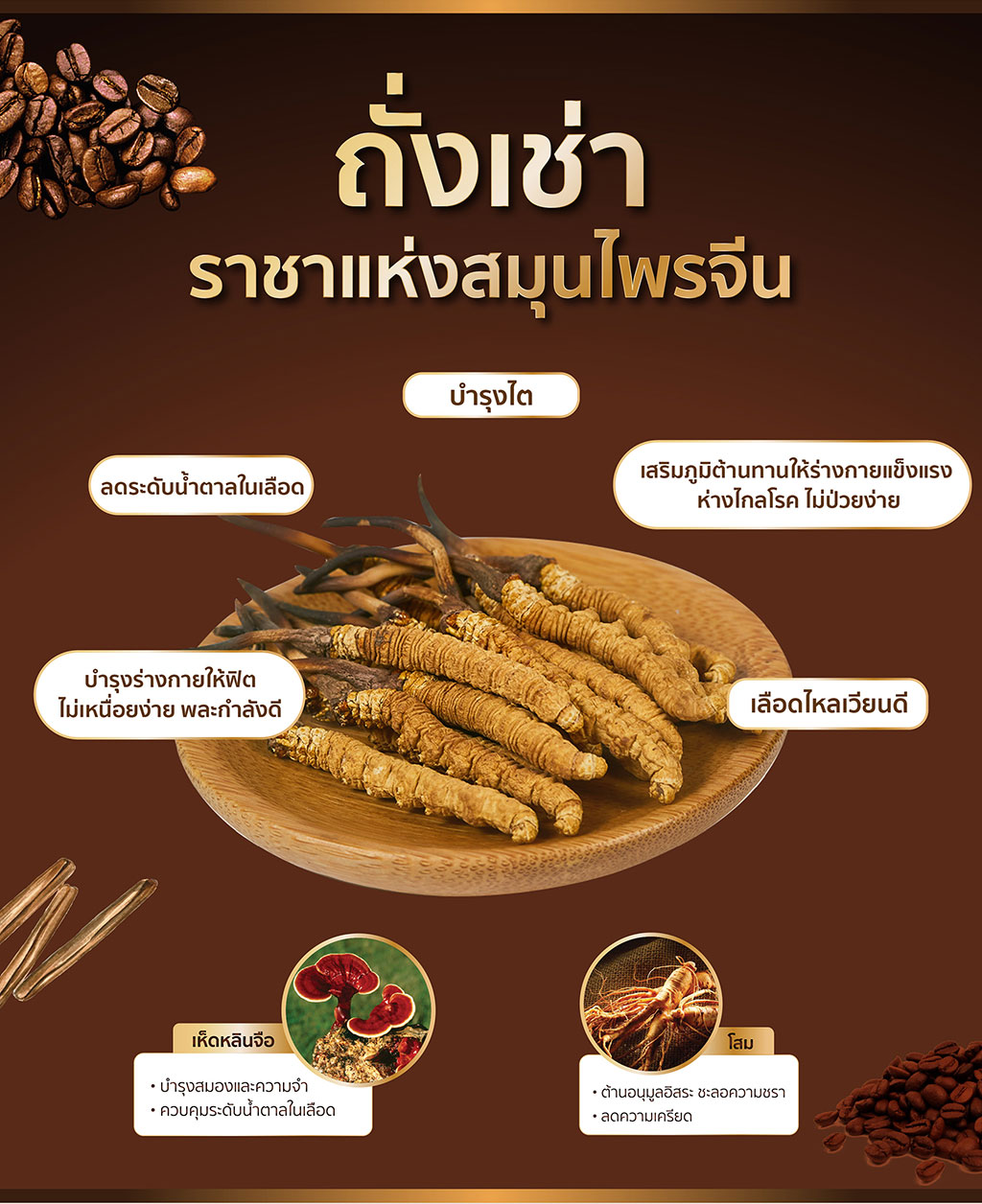 กาแฟ CORDY PLUS ผสมถั่งเช่า + เห็ดหลินจือ+ ใบแปะก้วย - NC HEALTH SHOP ...