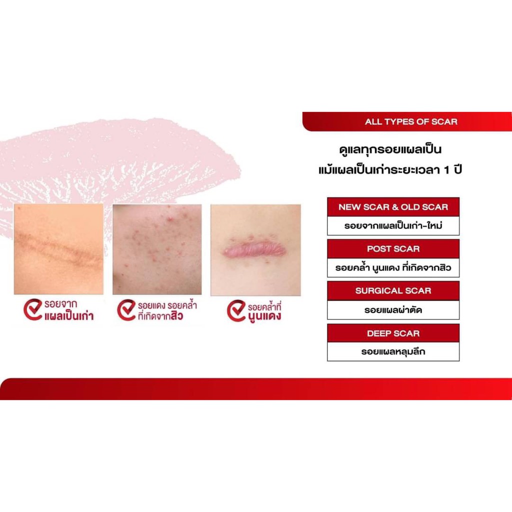 เพียวริก้าส์ พลัส แอดวานซ์ 920 g. Puricas Plus ADVANCED Dragons Blood ...