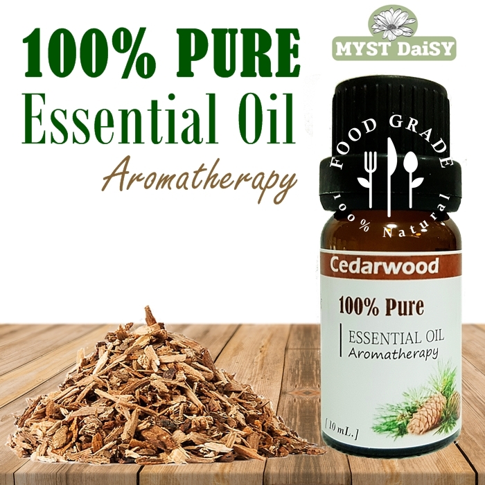 100% Pure Essential Oil น้ำมันหอมระเหยกระดังงาไทย (Ylang Ylang Es.Oil ...
