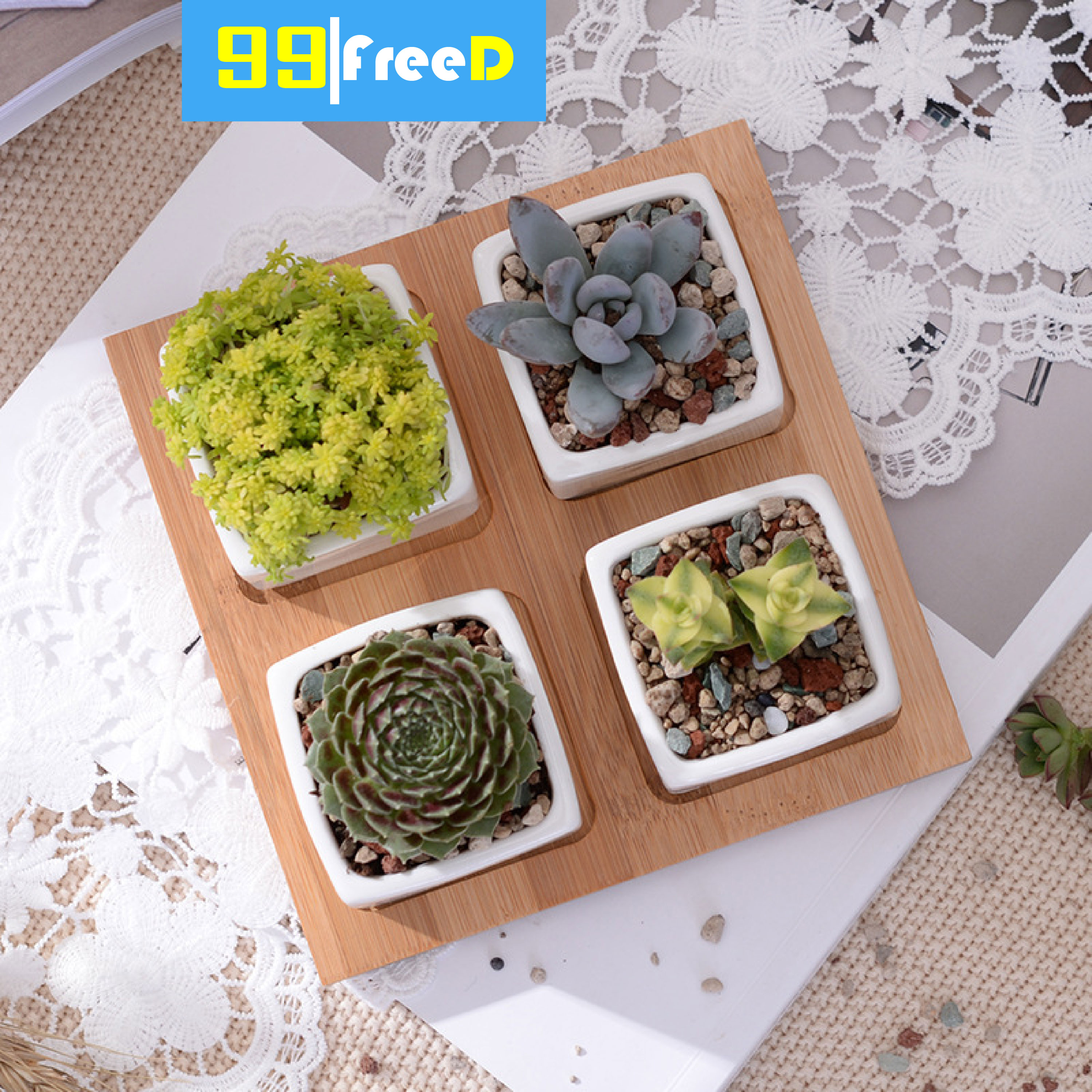 White ceramic plant pot set, 4 * 4 with wooden tray, size 14.5x5 cm ...