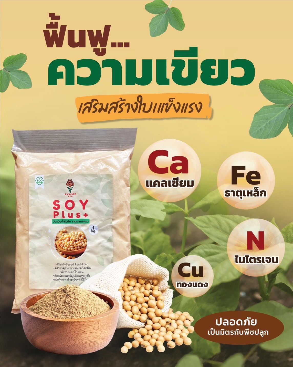“SOY Plus” ซอย พลัส ปรับใบเขียว ปลอดภัย ใช้ได้กับทุกพืช แถมฟรีทันที ดิน ...