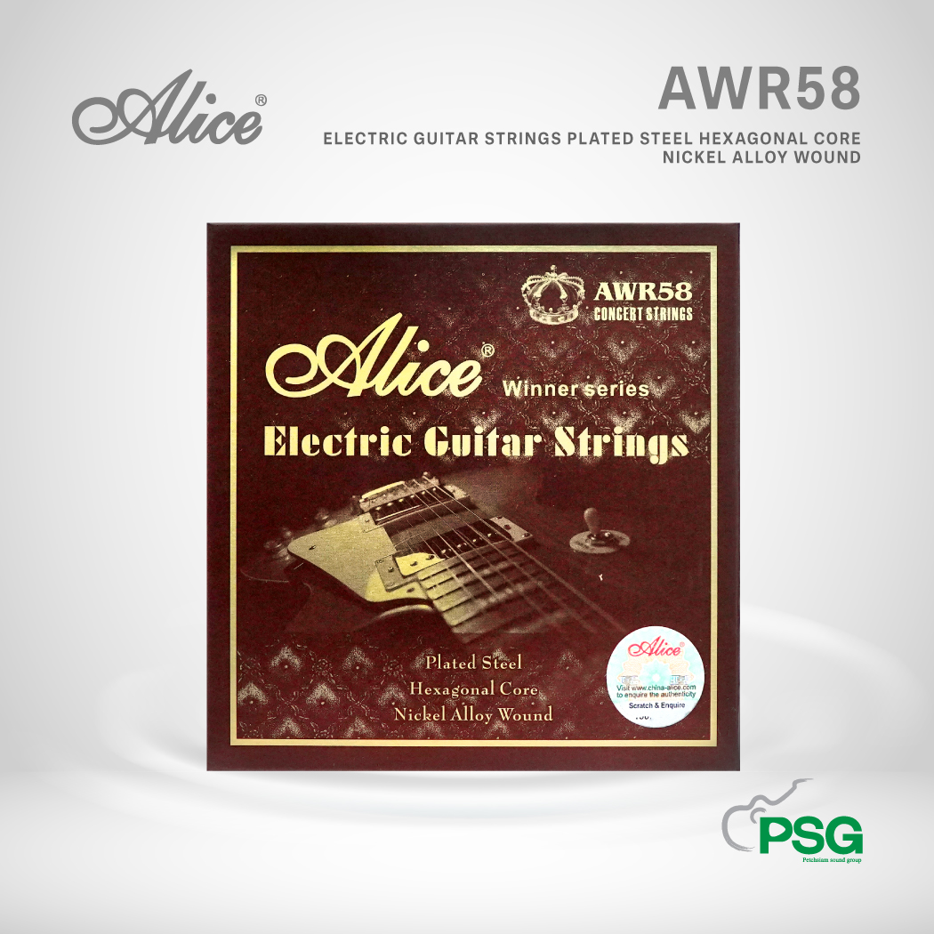 ALICE ELECTRIC GUITAR STRINGS AWR58L-NICKEL | Lazada.co.th