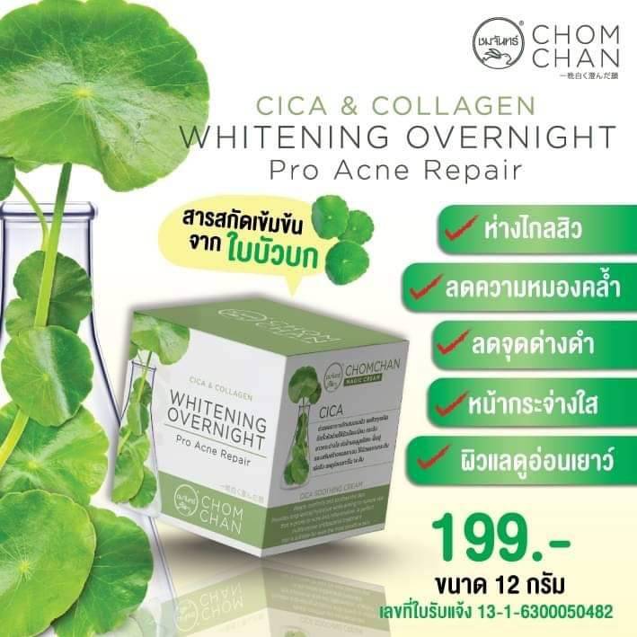 CHOMCHAN Cica&Collagen Whitening Overnight ครีมใบบัวบกชมจันทร์ 12g. ( 1 ...