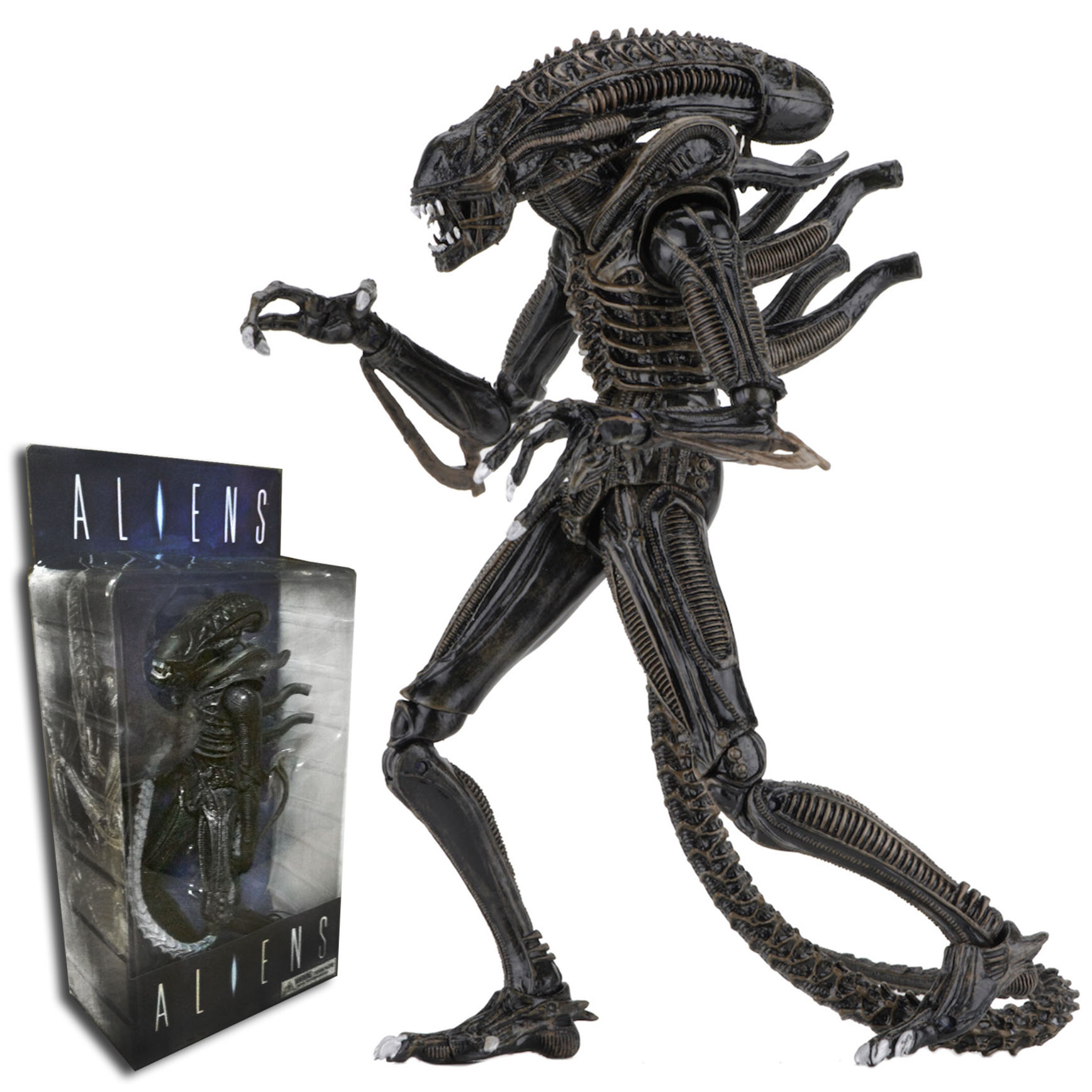 Model โมเดล Figma ฟิกม่า Figure Action Alien เอเลี่ยน Xenomorph ซีโนมอร ...