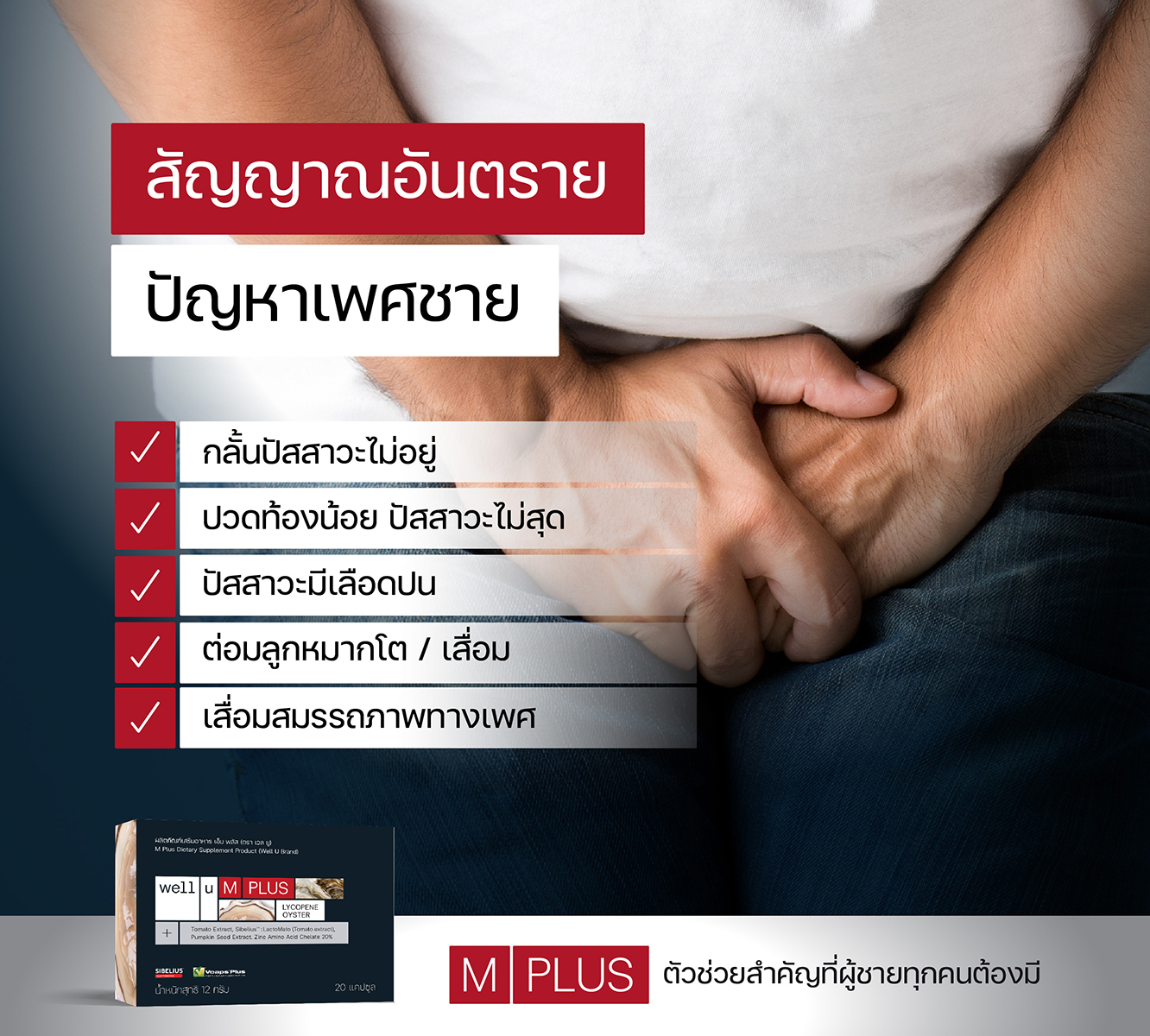 ผลิตภัณฑ์เสริมอาหารสำหรับผู้ชาย เอ็ม พลัส (ตรา เวล ยู) well u M Plus บำรุงร่างกาย แก้ปัญหา ...