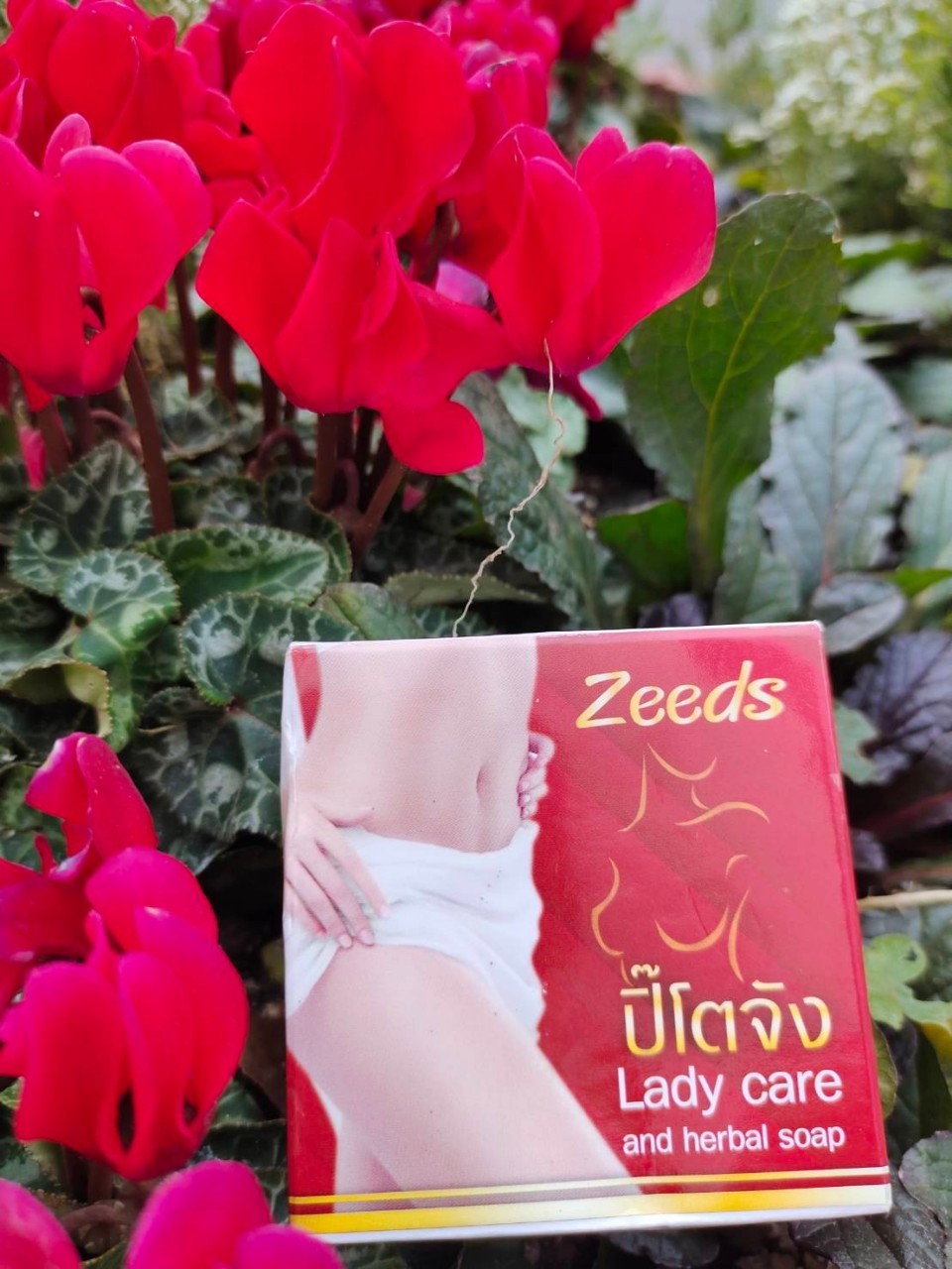 ZEEDS สบู่ทำความสะอาด ดูแลปัญหาของผู้หญิง | Lazada.co.th