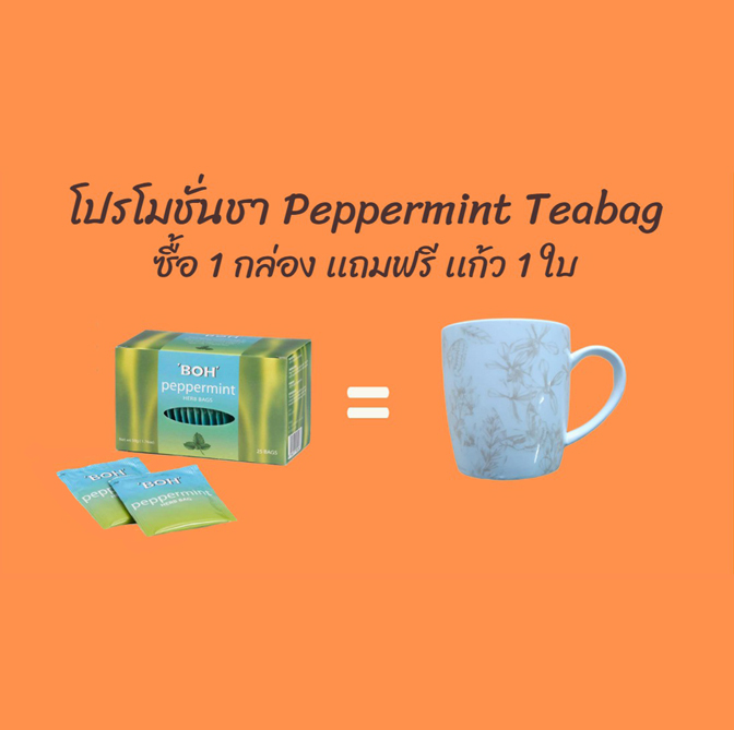 BOH Peppermint Tea 1x25teabag x2g.(ชาสมุนไพรเปปเปอร์มินท์(ชาสาระแหน่ ...