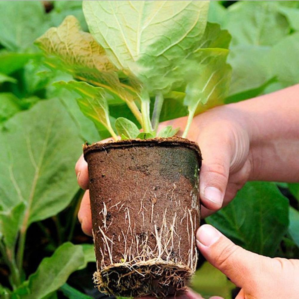 50Pcs 6x6CM Round Degradable Paper Pulp Peat Pots โรงงาน ถ้วยเนอสเซอรี่ ...