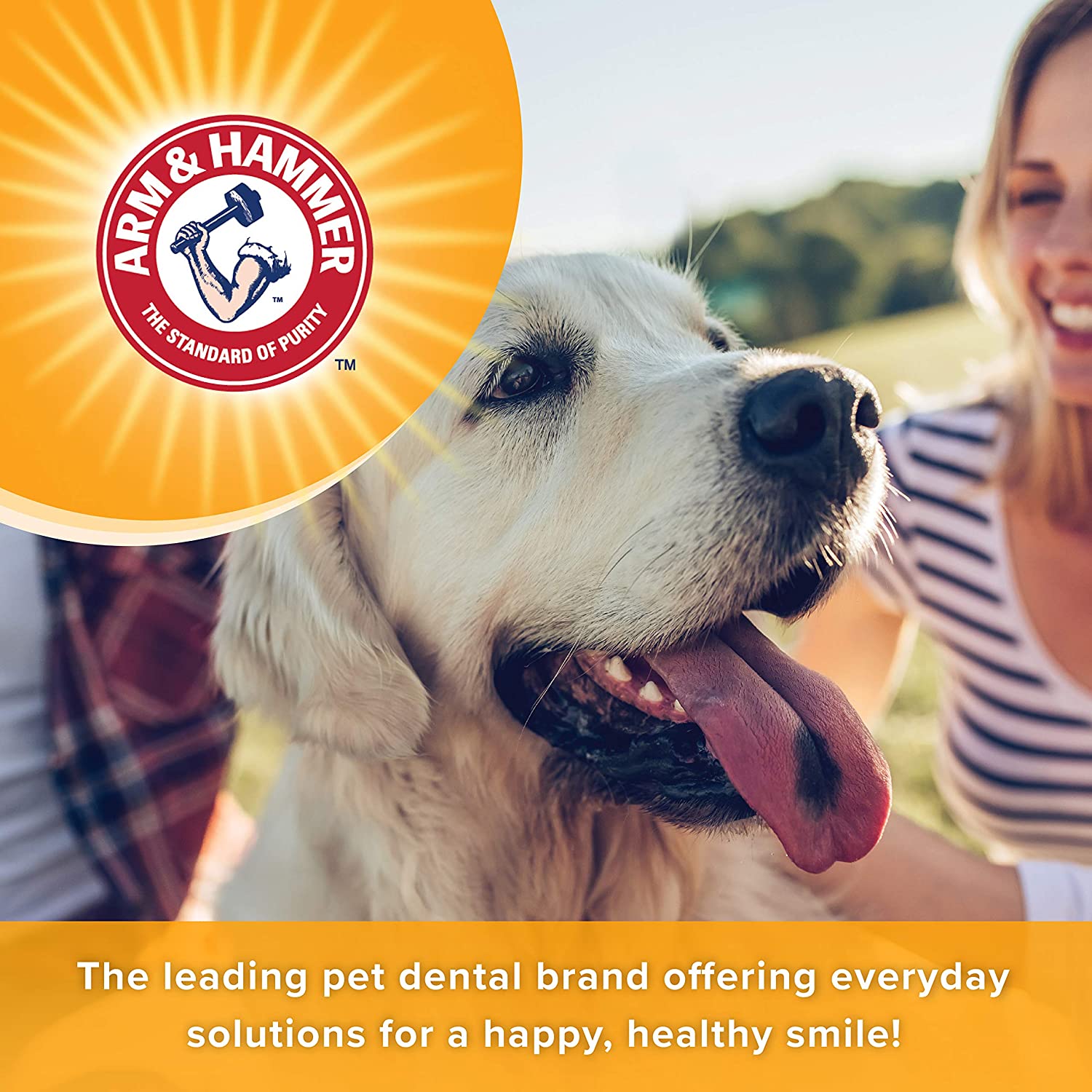 Arm Hammer Tartar Control Dental Spray for Dog Mint Flavor 118 mL ...