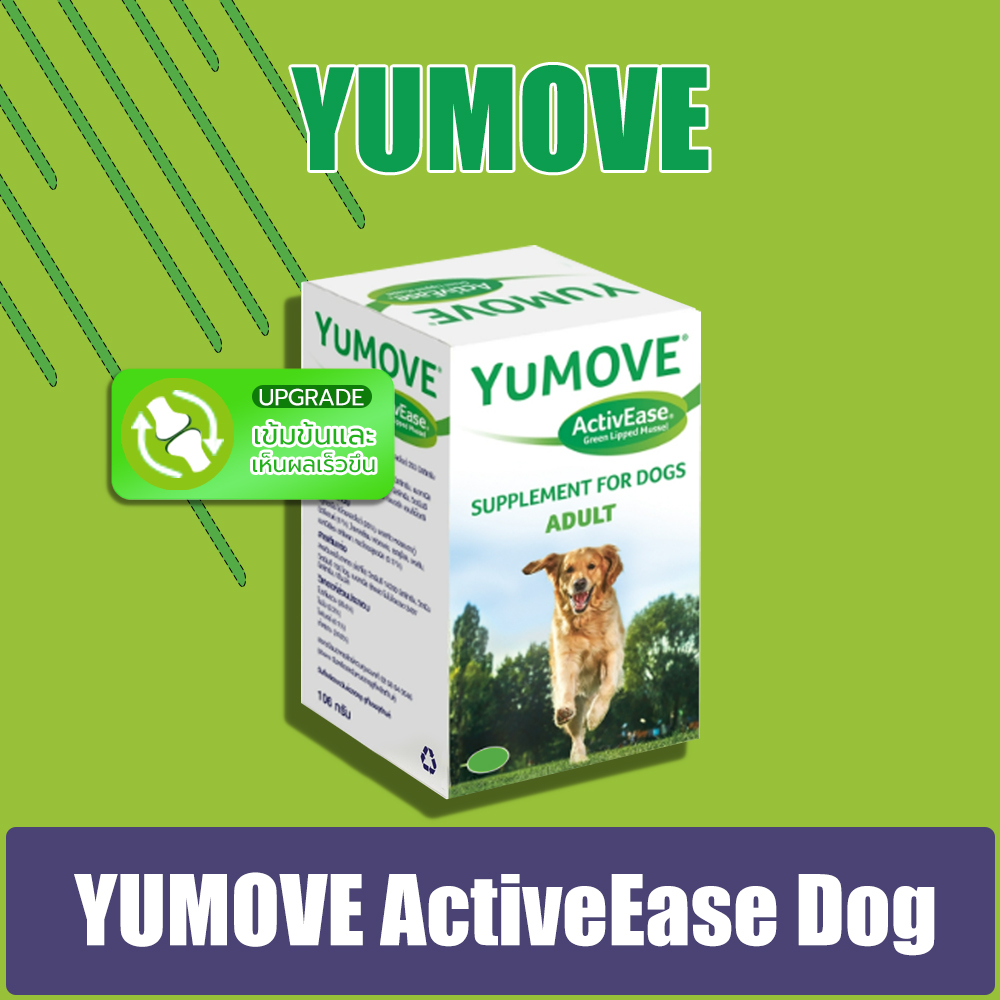 Yumove Dog ActivEase อาหารเสริมแบบเม็ด บำรุงข้อ กระดูก ทำจากธรรมชาติ ...