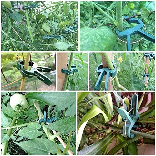(แพ็ค 5 ชิ้น) คลิปหนีบต้นไม้ กันล้ม Plant clip Gentle Plant Flower ...