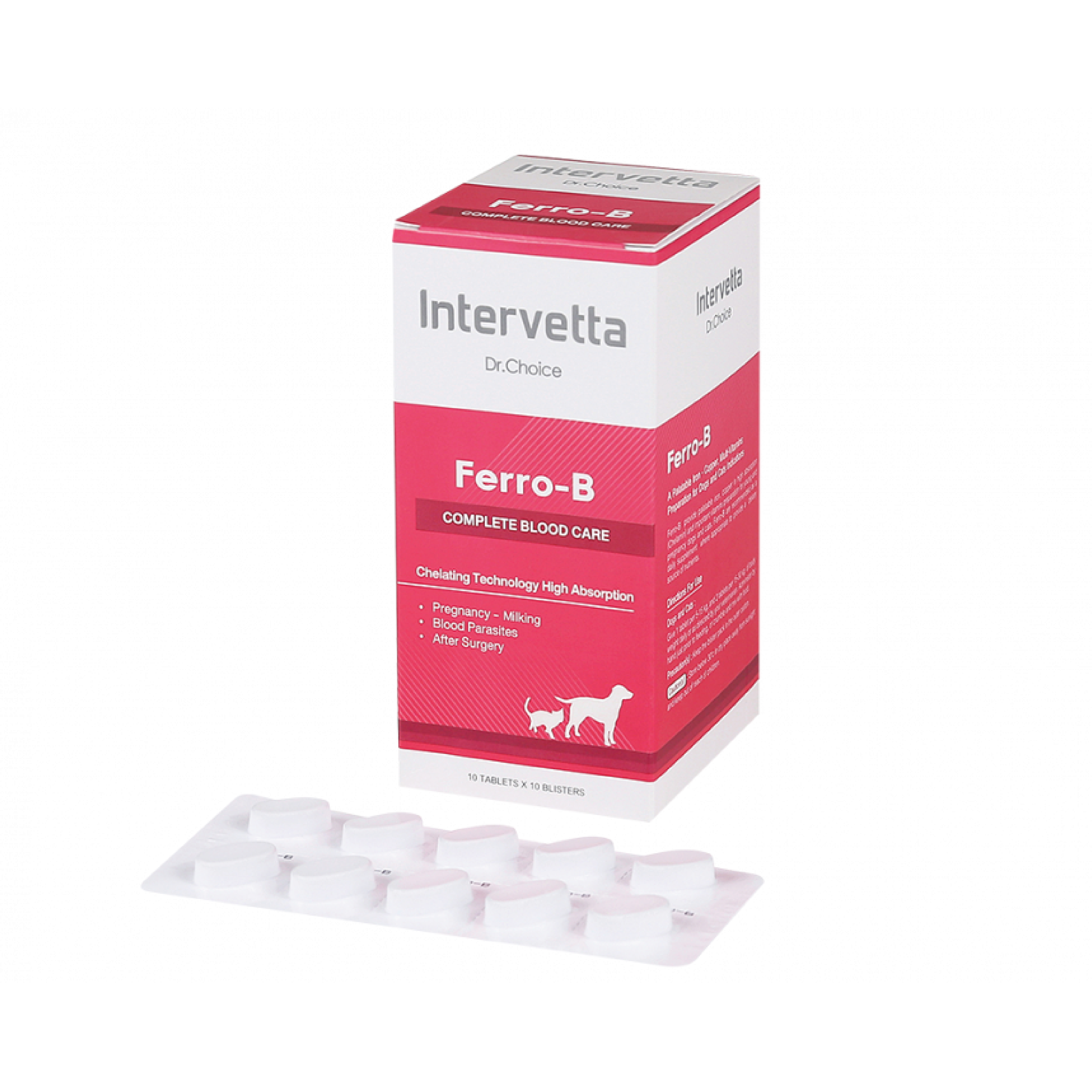 Intervetta Ferro-B Dog Supplement 100 tabs อาหารเสริม อาหารเสริมสุนัข ...