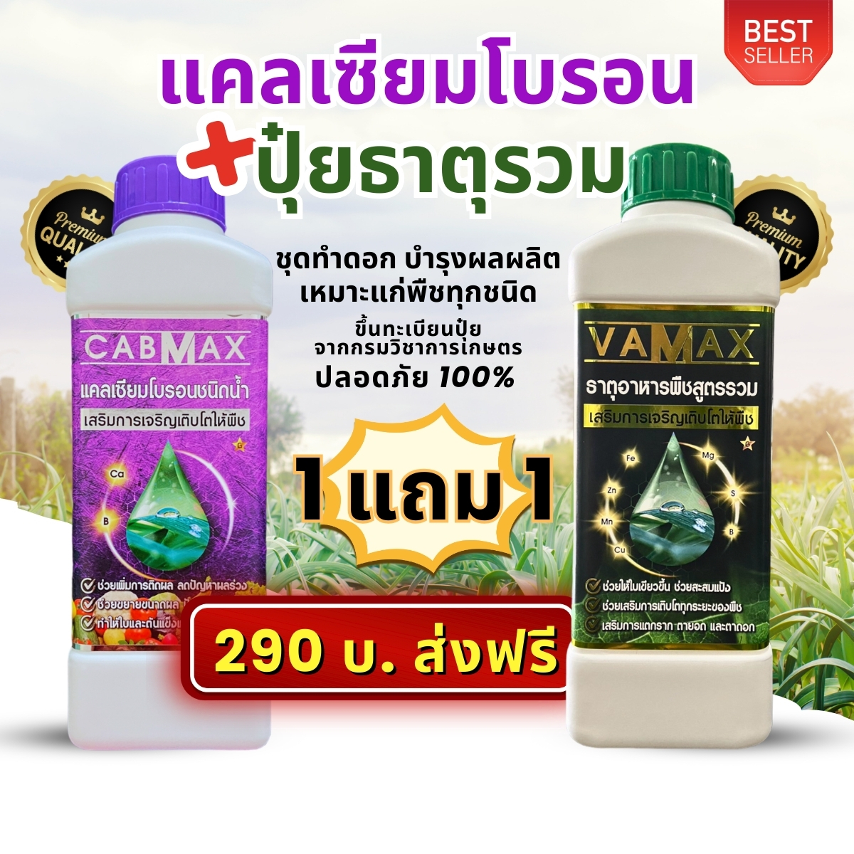 ชุด 1 แถม 1 (ปุ๋ยธาตุรวม VAMAX + CABMAX แคลเซียมโบรอน) ปลอดภัยขึ้น ...