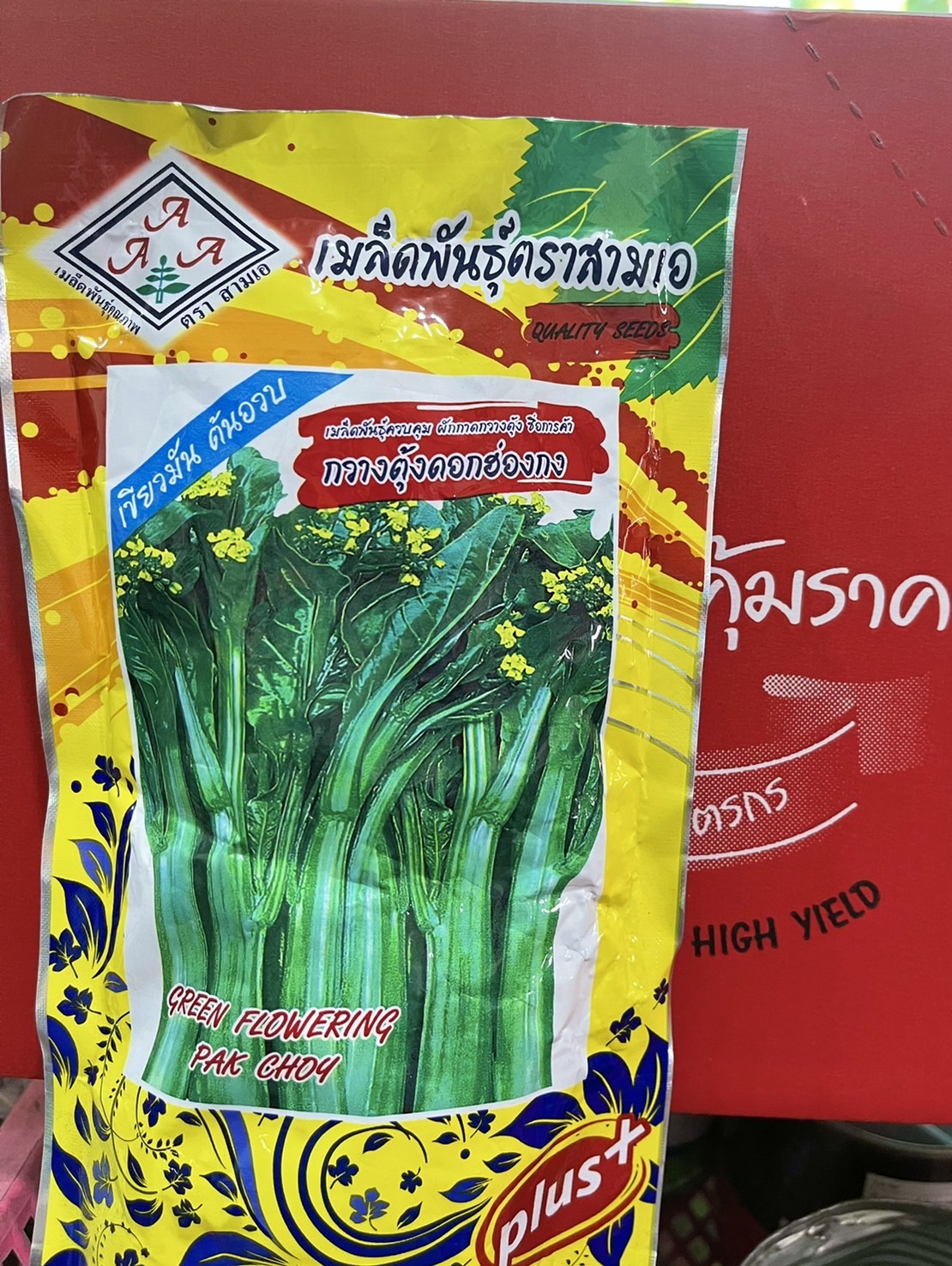 เมล็ดพันธุ์ผักกาดกวางตุ้งดอกฮ่องกง ตราสามเอ เขียวมัน ต้นอวบ หนัก50 กรัม | Lazada.co.th