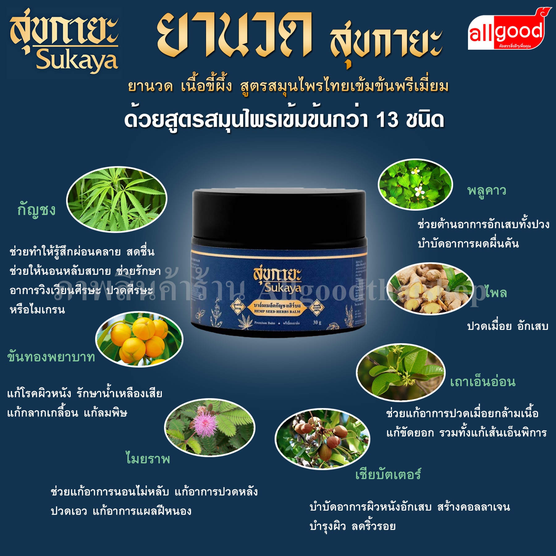 บาล์ม สุขกายะ ( Sukaya ) ยานวด เนื้อขี้ผึ้ง สูตรสมุนไพรไทยเข้มข้นพรีเมี ...