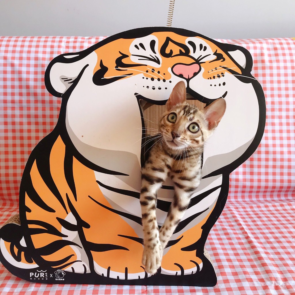 Purlab Cute Tiger ที่ลับเล็บแมว - Leftpert - ThaiPick