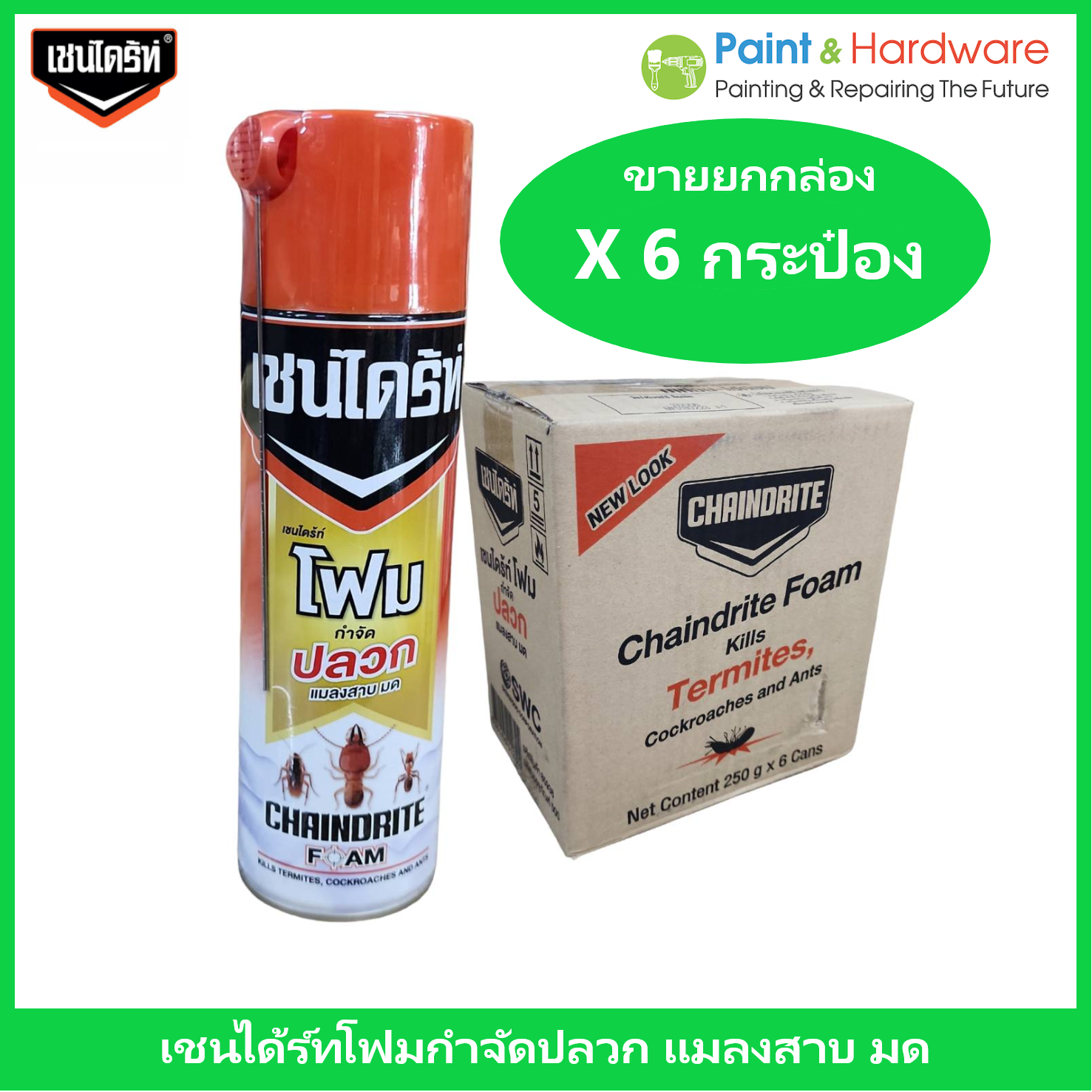 Chaindrite เชนไดร้ท์ โฟม ป้องกันและกำจัดปลวก แมลงสาบ มด CHAINDRITE FOAM ...