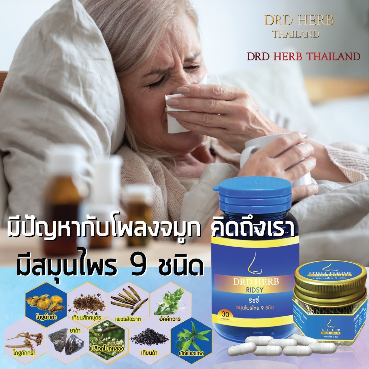 ริดซี่ DRD Herb Ridsy ริซซี่ สมุนไพร 9 ชนิด ริดซี่สมุนไพร จมูก น้ำมูกไหล ไอ จาม ภูมิแพ้ 1 กระปุก ...