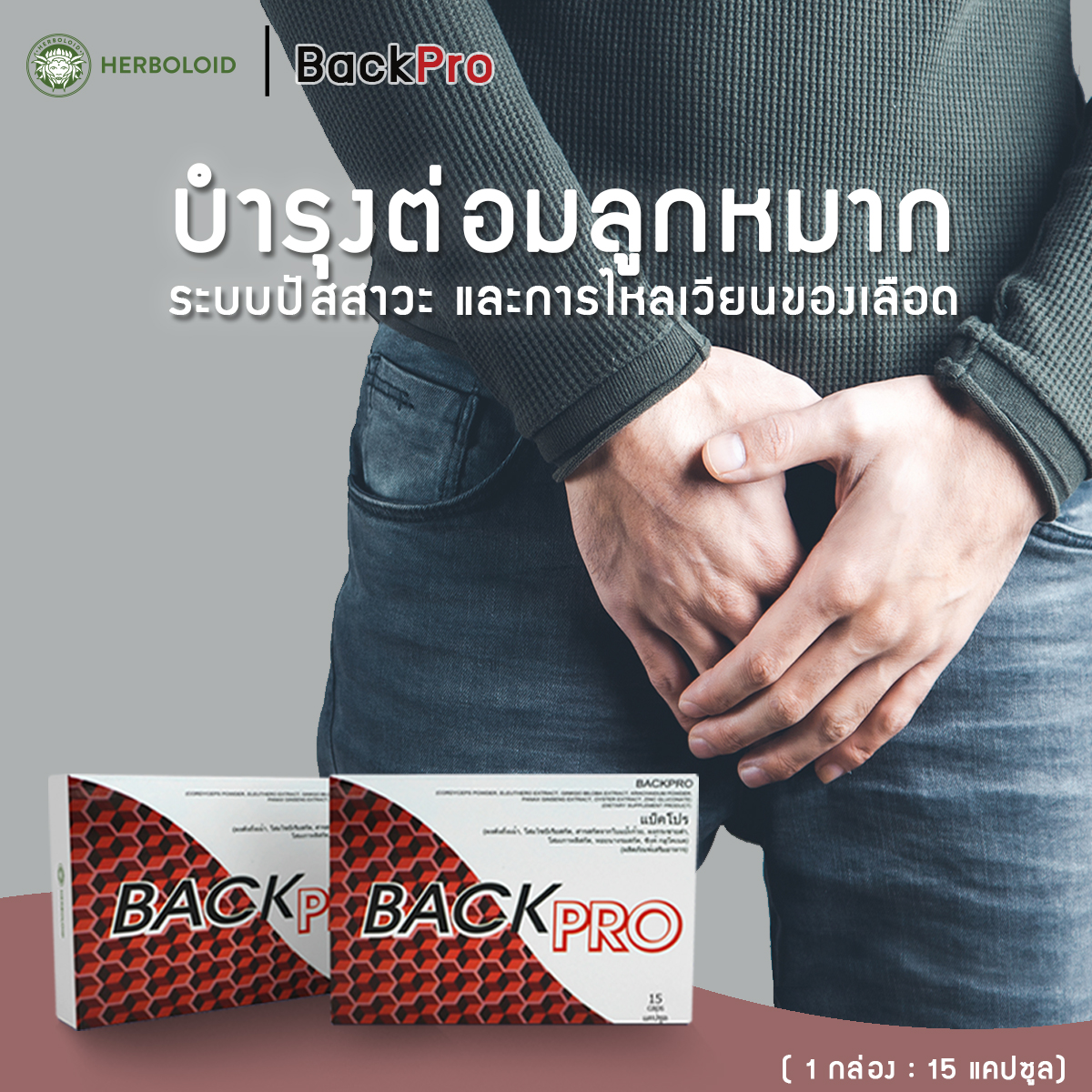 BACKPRO เสริมต่อมลูกหมาก และระบบปัสสาวะ - เซ็ต 1 กล่อง 15 แคปซูล - Herboloid Thailand - ThaiPick