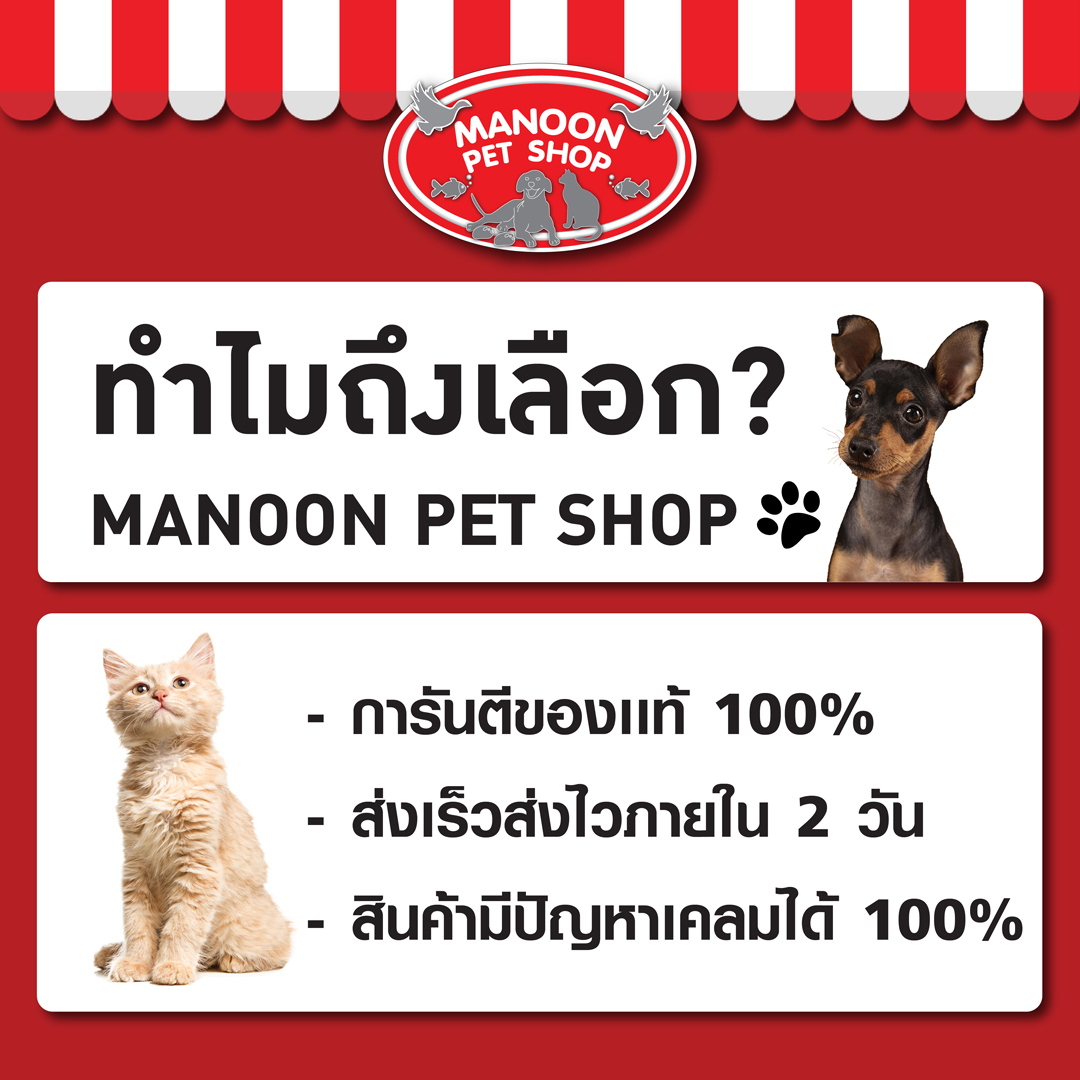 MANOON PEDIGREE Mini Adult Beef Lamb Vegetable เพดดิกรี วัว แกะและผัก 2 ...