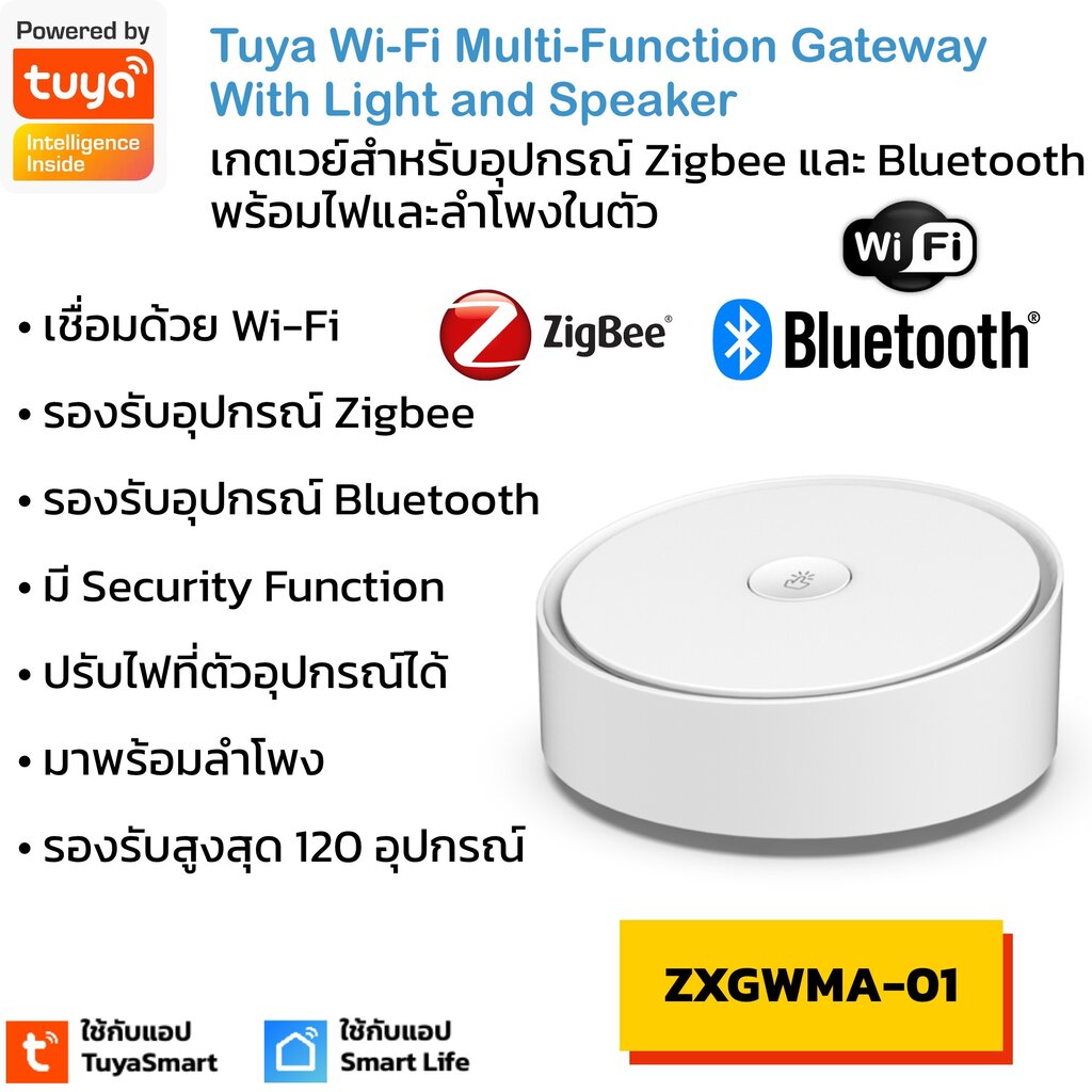 Tuya Wi-Fi Multi-Function with Light and Speaker Gateway(ZXGWMA-01 ...