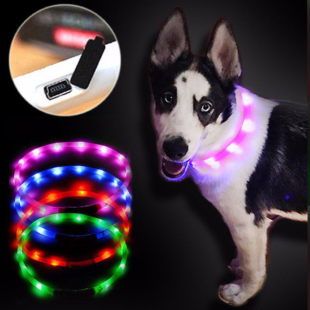 USB Rechargeable LED Flashing Light Band Glow Belt Pet Dog Puppy Safety ...