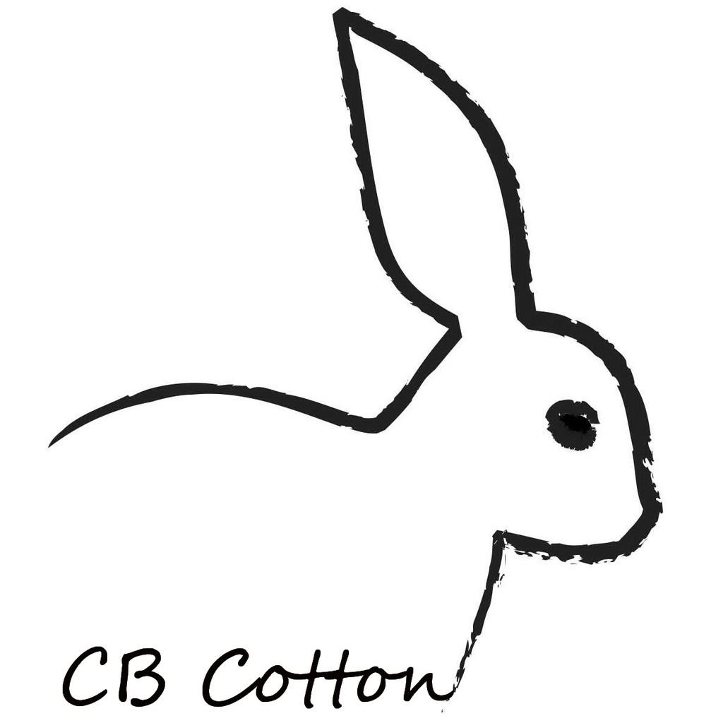 CB Cotton หมอนไมโครแอร์บอล เกรดโรงแรม 5 ดาว - White - BlancheThebom ...