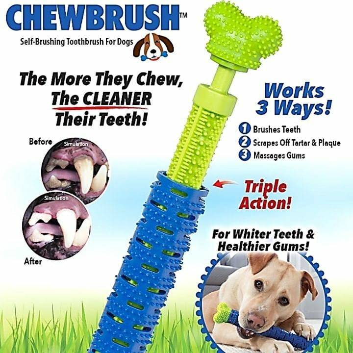 BlueOutlet Chewbrush กระดูกยางขัดฟันสุนัข ยาว 9.5 นิ้ว กระดูกของเล่น ...
