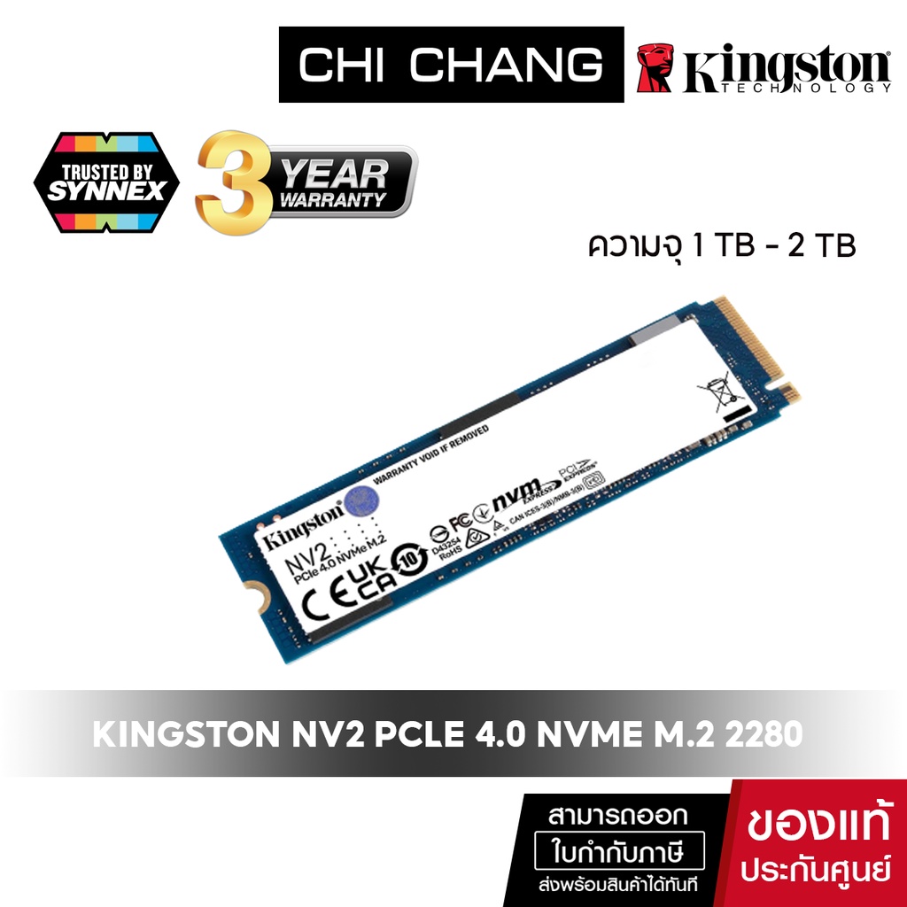 Kingston NV2 250G M.2 2280 NVMe PCIe Internal SSD ของแท้ ประกันศูนย์ 3 ...